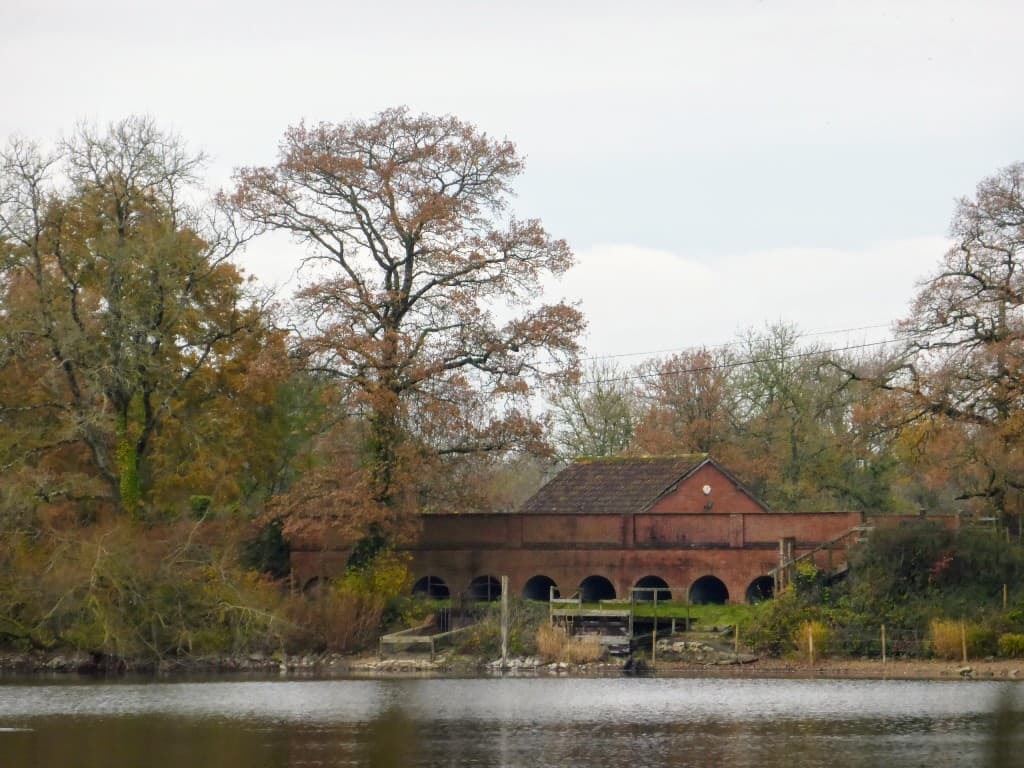 Things to do in Somerset; Chard Reservoir Local Nature Reserve