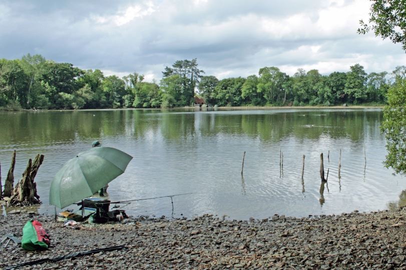 Things to do in Somerset; Chard Reservoir Local Nature Reserve