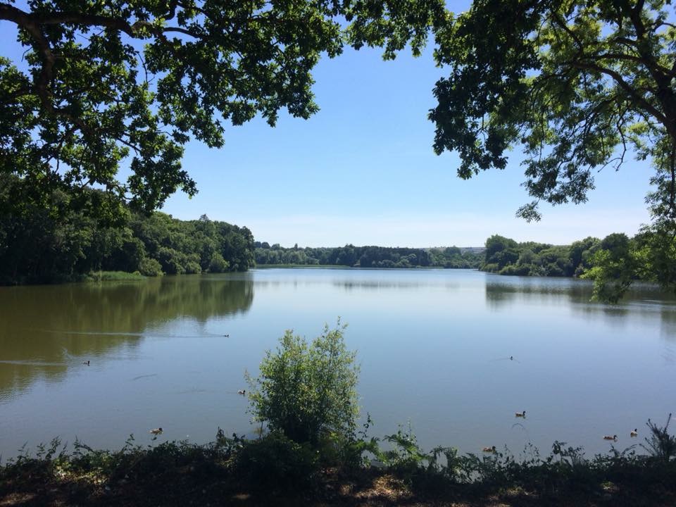Staying safe in the countryside as temperatures get set to soar
